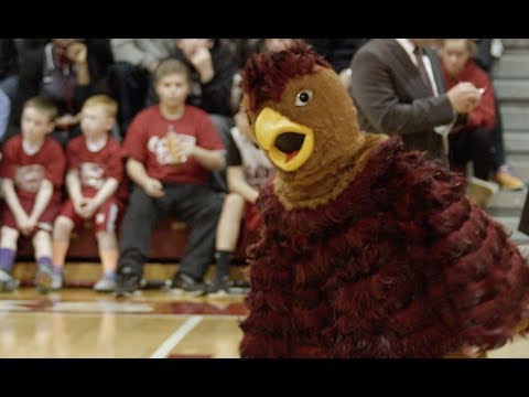 Soar Higher: What Does it Mean to Be a Hawk?