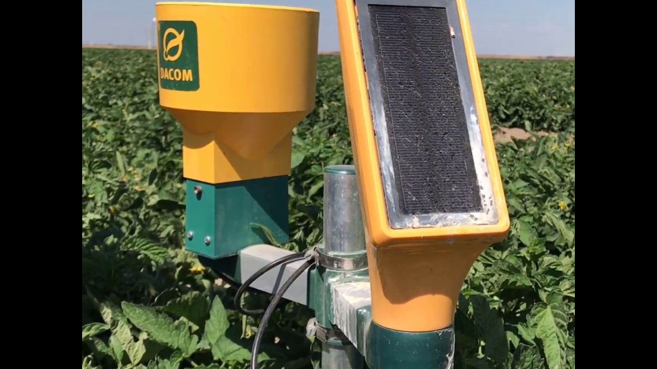 Field Sensors to Increase Water Efficiency in the Farm Field