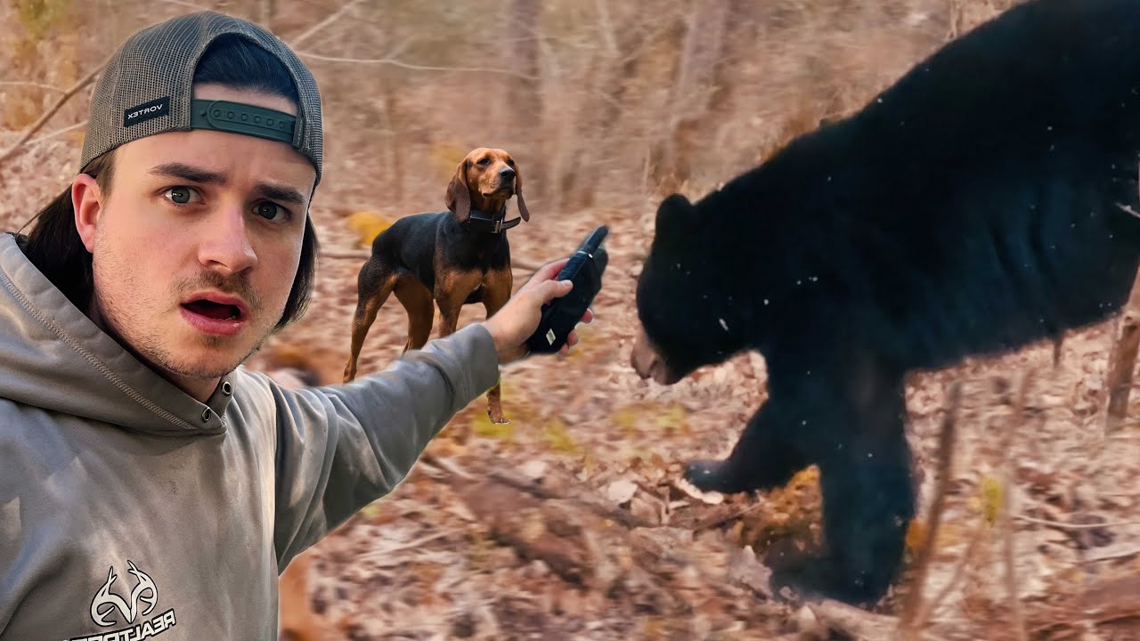 Chasing after a BEAR with our DOGS!