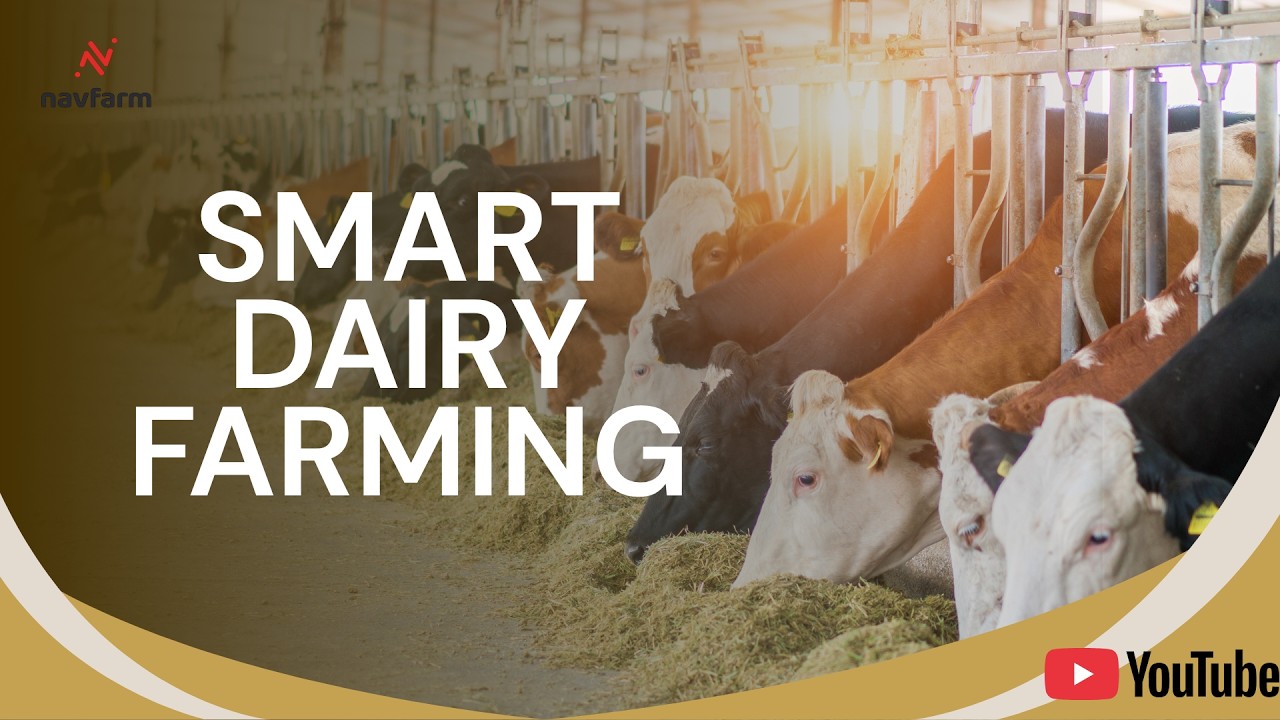 Modern Dairy Farming with Smart Technology