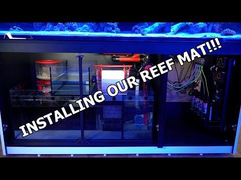 Redsea Reefer 750XXL G2 Display Aquarium. ReefMat 1200 and ReefDose 4 Installation.