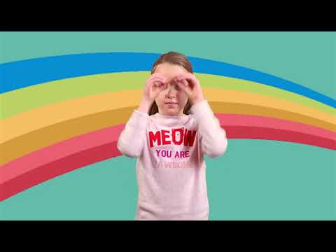 American Sign Language ASL Video Dictionary - owl