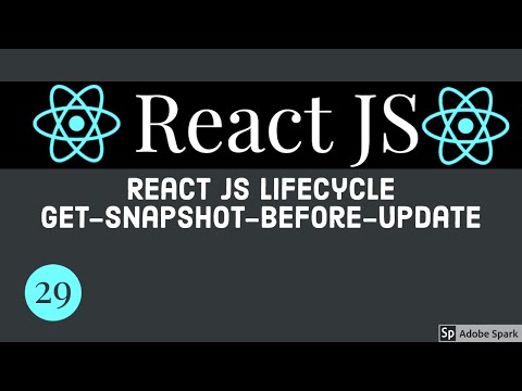 Learn React JS LifeCycle getSnapshotBeforeUpdate UseCase 29 - Mind Luster