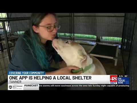 One social media app is helping a local animal shelter receive food and treats for its animals