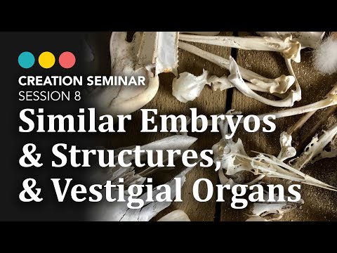 Creation: Embryological Similarity, Homologous Structures & Vestigial Organs | Session 8
