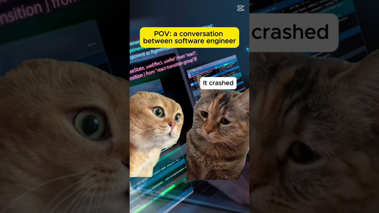 When Your Code Finally Compiles But Everything CRASHES! #shorts #shortvideo #programming #memes