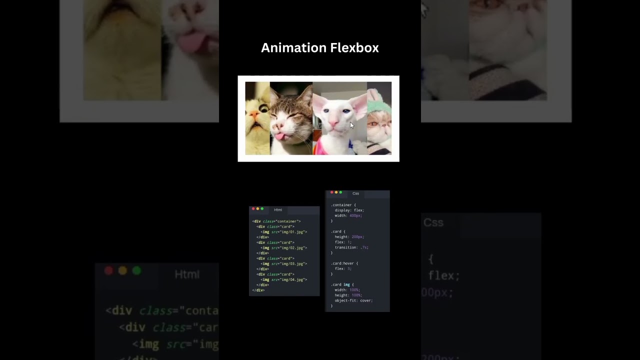 Programing tutorial #techdecode #programming #html #learntocode