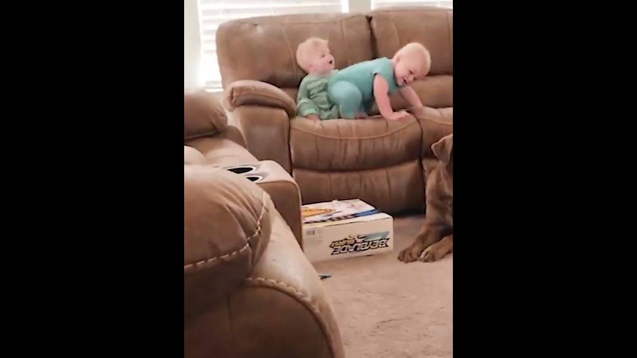 baby booty shake #shorts