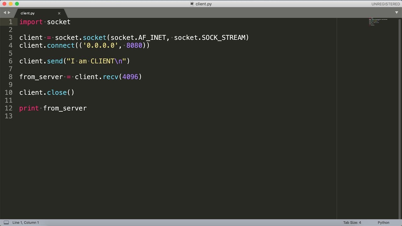 Python Socket Programming Demo