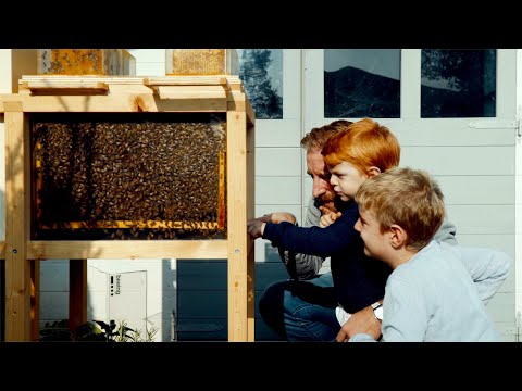 A Small, Simple Hive Designed for Urban Beekeeping