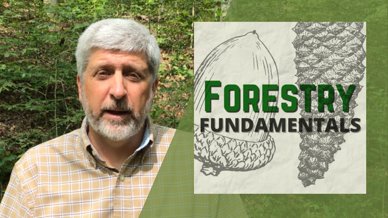 Forestry Fundamentals an Introduction