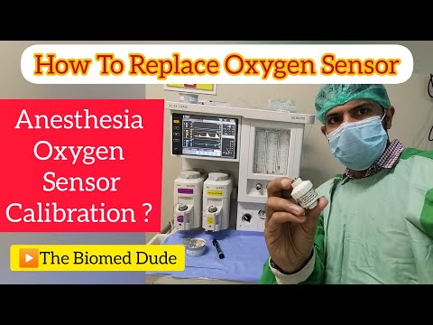 Oxygen Sensor - Industrial Oxygen Sensor Latest Price, Manufacturers ...