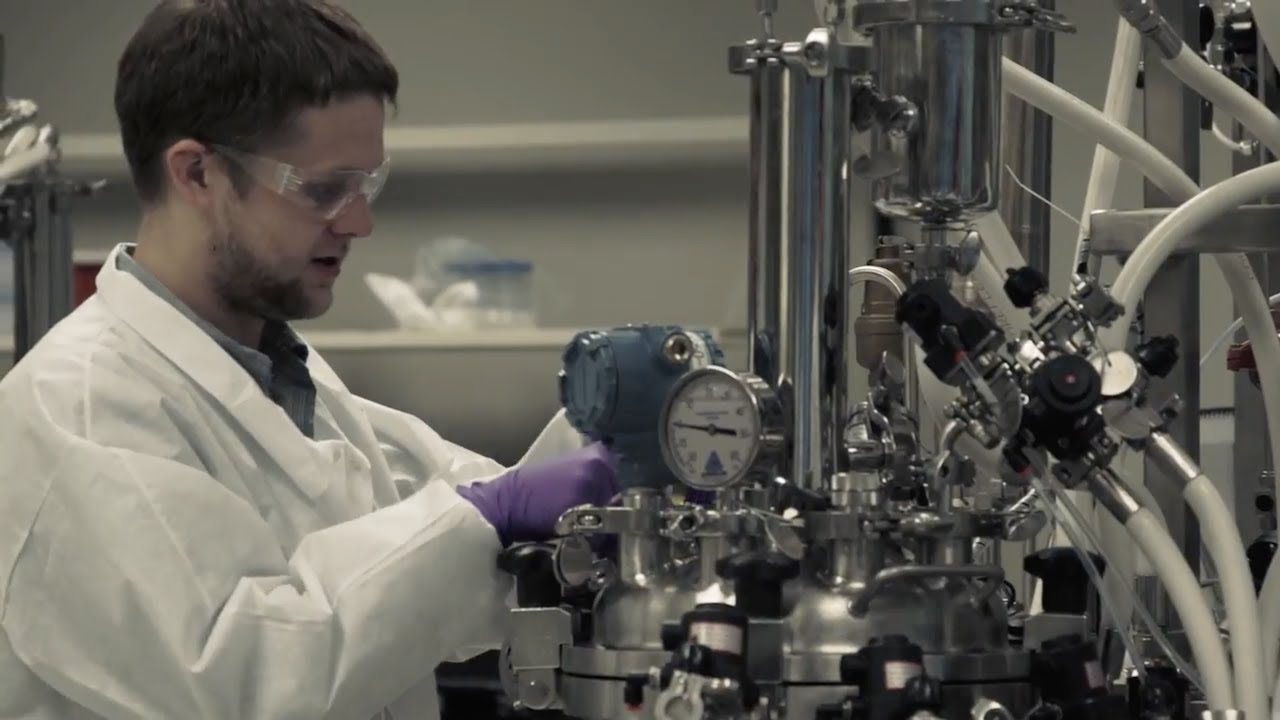 NC State BTEC Undergraduate Program