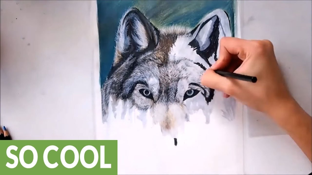 Incredible wolf time lapse drawing