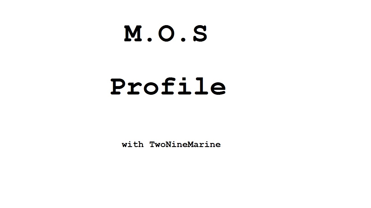 MOS Profile: 0651 Data Network Specialist