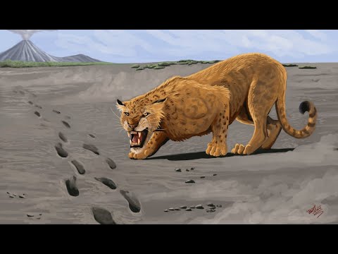 Panthera: The Evolution of the Big Cats