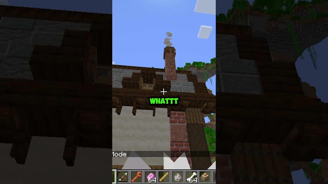 the mod is supplementaries!