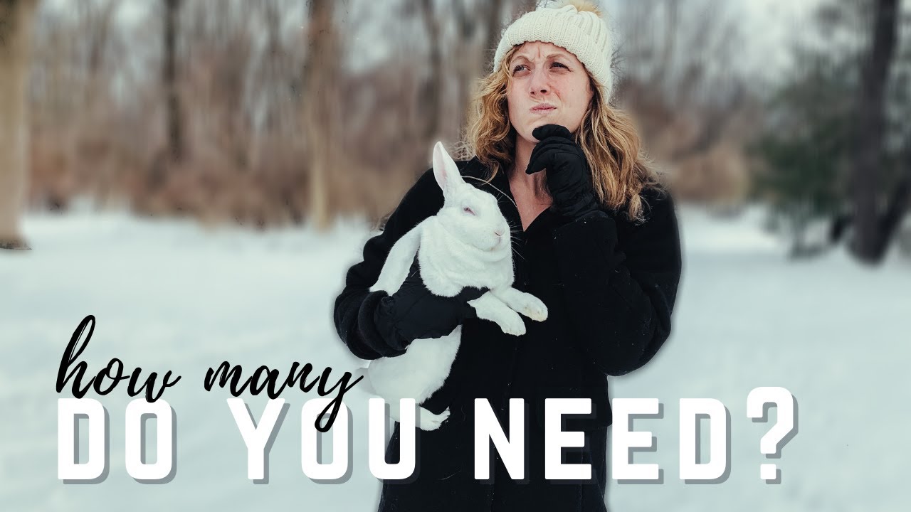How Many Rabbits Do You Need to Feed Your Family | Meat Rabbit Math