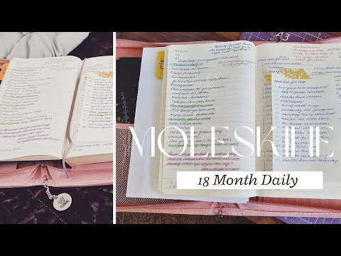 Moleskine 18 Month Daily|| Official Setup || Flip through|| Functional Planning