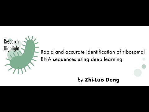 Zhi Luo Deng - Rapid and accurate identification of rRNA sequences using deep learning | S01 MVIF3