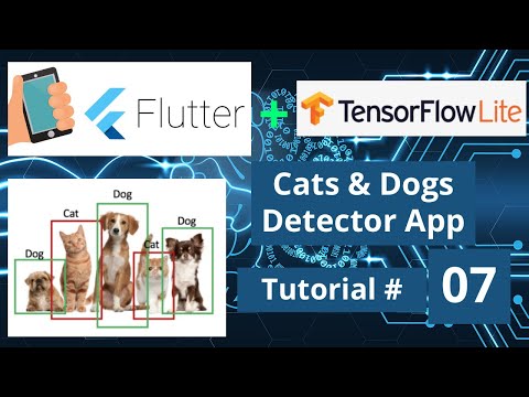 Learn Flutter TensorFlow Lite Android iOS Tutorial 2021 Mobile Deep Learning and Machine ...