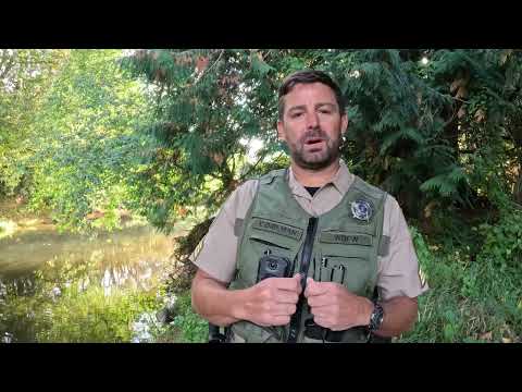 Snagging fish is illegal in Washington