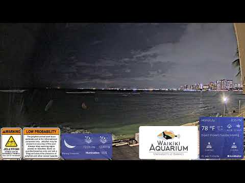 Waikiki Aquarium South Shore Surf Cam