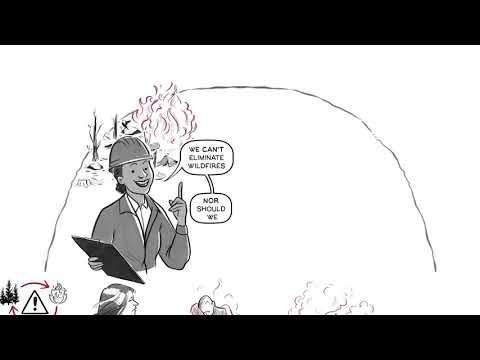 Wildfire Fire and our Forests - FireResistantWood.org
