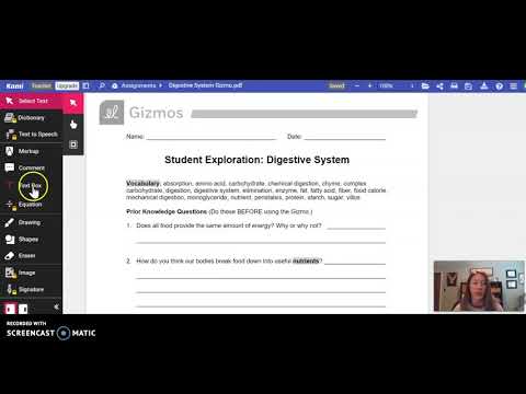 A&P Digestive Gizmo