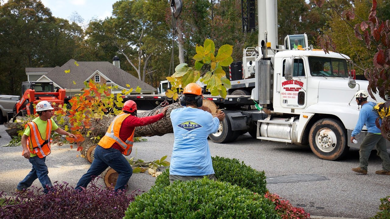 David Soden | Technology Evangelist - Cloud, Digital Transformations ...