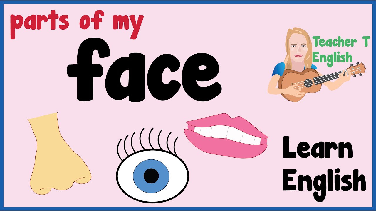 Parts of my face | Face vocabulary | My face | Practice English | speak listen write read