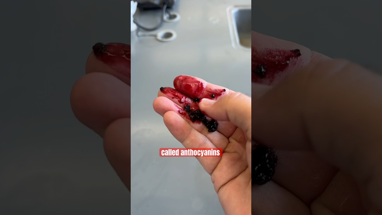 Making a Solar Cell with Raspberries