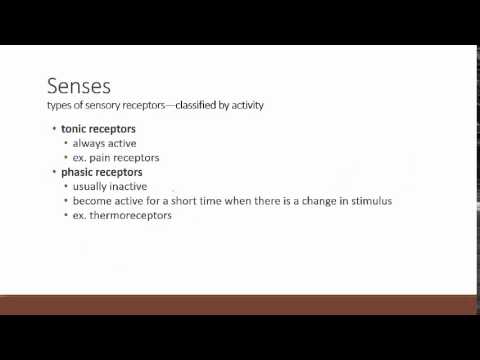Chapter 12.1 Senses--Introduction, Sensory Receptors, & Adaptation