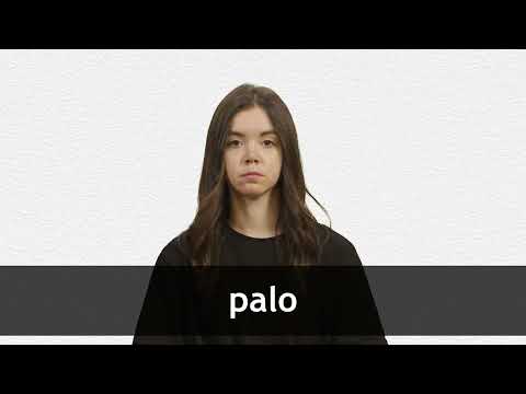 English Translation of “PALO” | Collins Spanish-English Dictionary