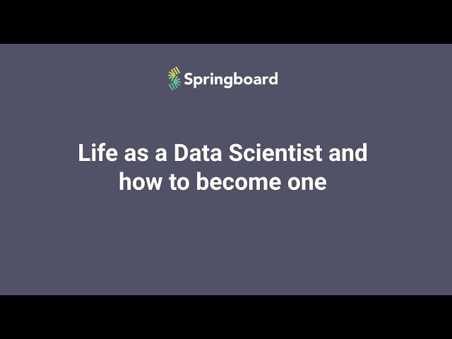 A Day in the Life of a Data Scientist: What to Expect