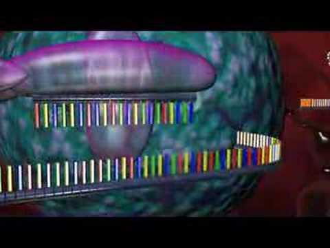 Excellent animation explaining the mechanism of RNAi technology ...