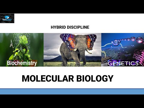 Introduction To Molecular Biology