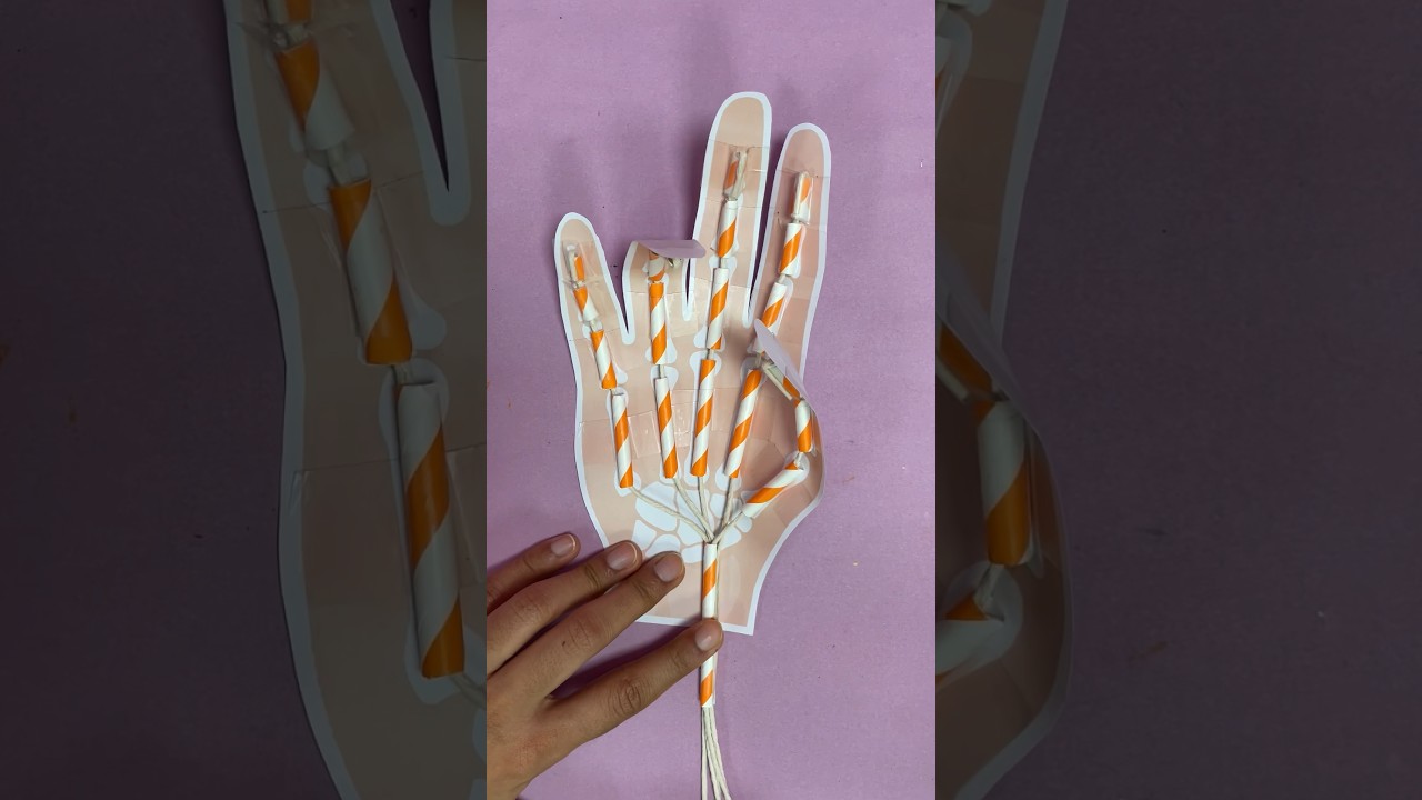 STEAM Science Bones Activity for Kids #shorts