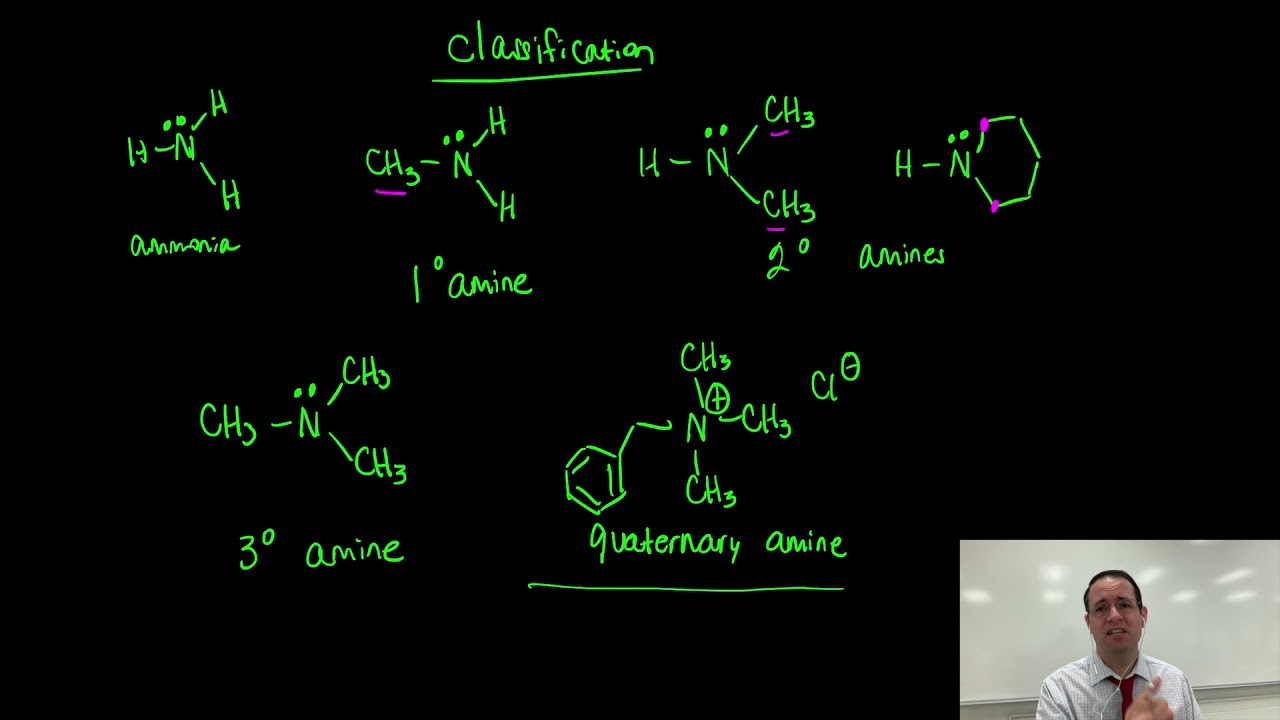 Amines Introduction [ORGANIC CHEMISTRY] Klein 23.1