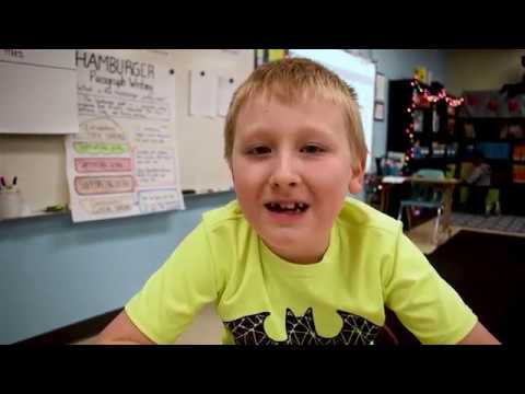 What is AVID?