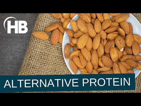 Alternative Proteins Solutions by Harvard Bioscience | Explainer Video