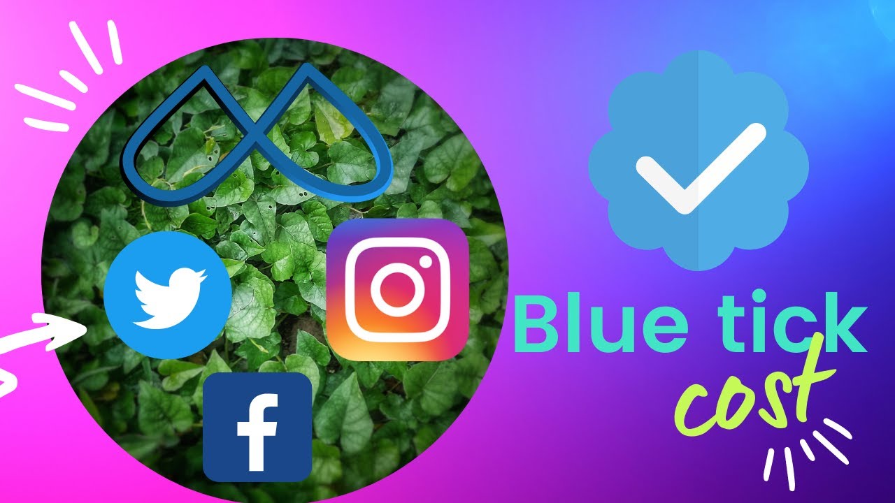 Instagram, Facebook and Twitter Blue Tick Verification Cost in India