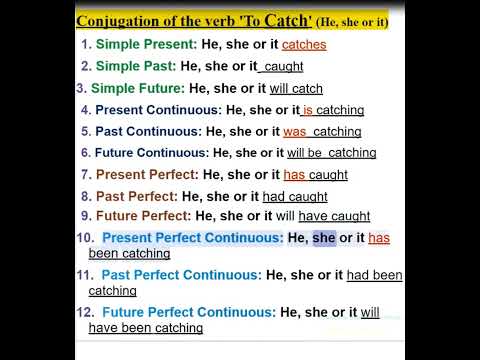 Conjugation of the verb To Catch in 12 Main English Tenses