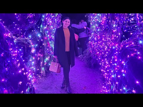 Chritmas lights in Vancouver #holidayseason #christmas #happynewyear