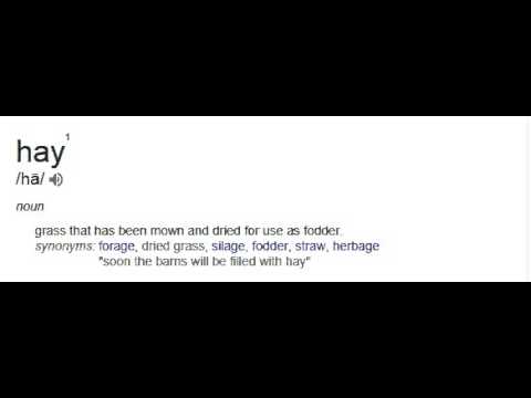 Definition Of Hay