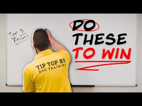 Why Do Most Startups Fail So Fast? | Tip Top K9 Business Advice