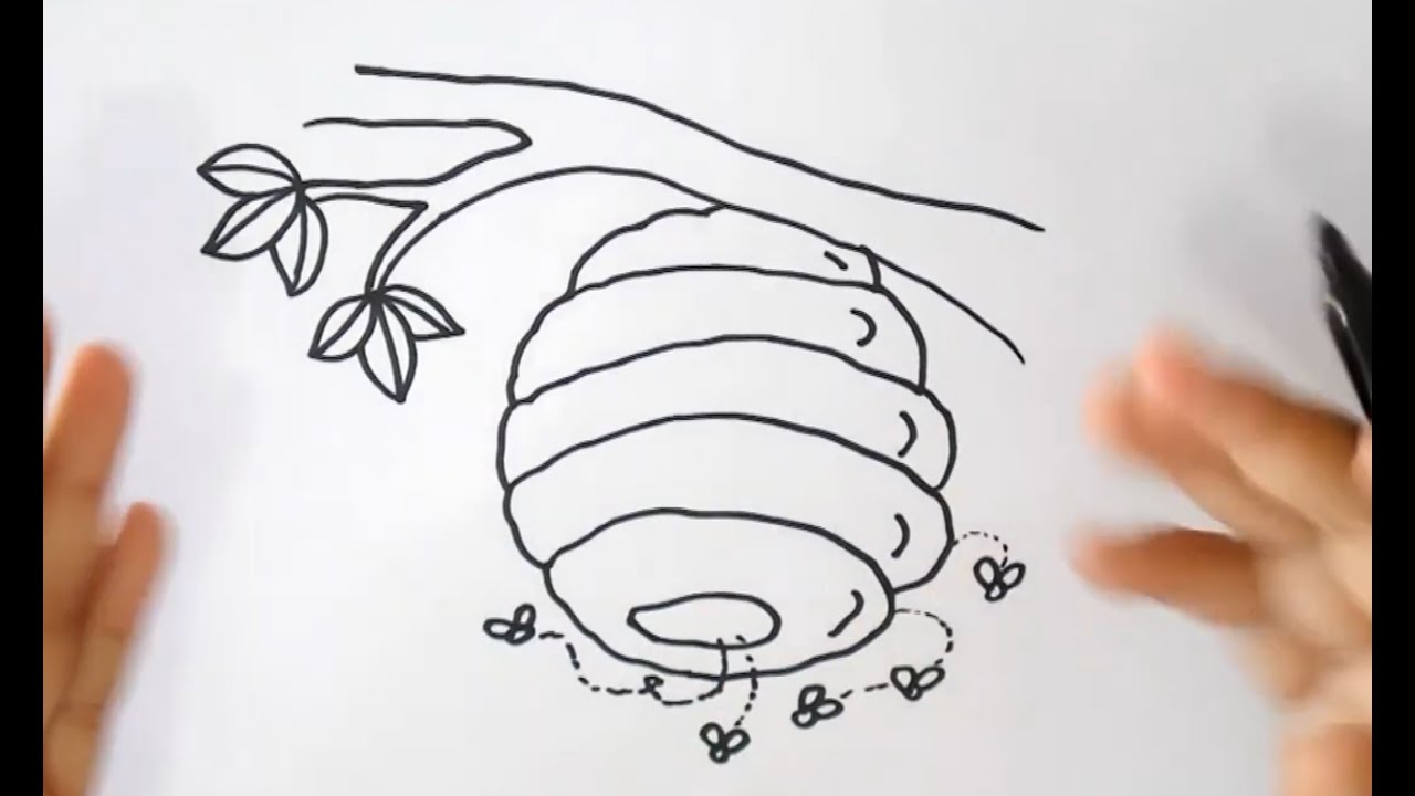 ¿Cómo Dibujar un PANAL DE ABEJAS? 🐝🍯 Dibujo de PANAL DE ABEJAS Paso a Paso