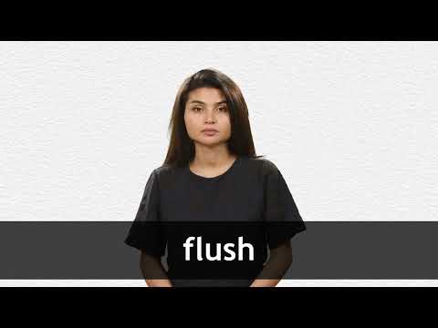 FLUSH - Definition & Translations | Collins English Dictionary