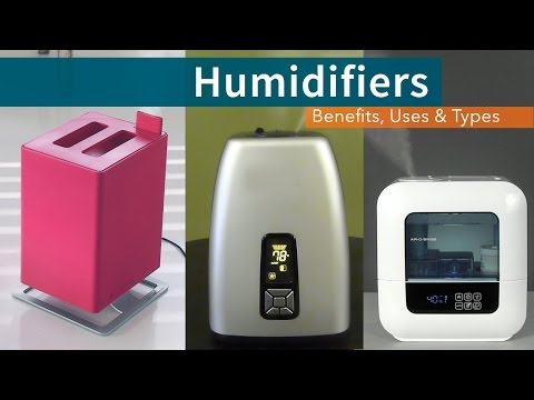 Respiratory Humidifier - ICU Ventilator Humidifier Latest Price ...