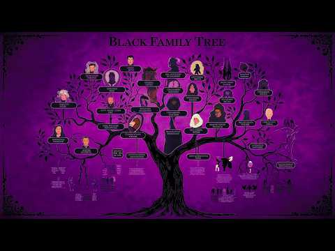 "Black family tree Explain" (harry potter)